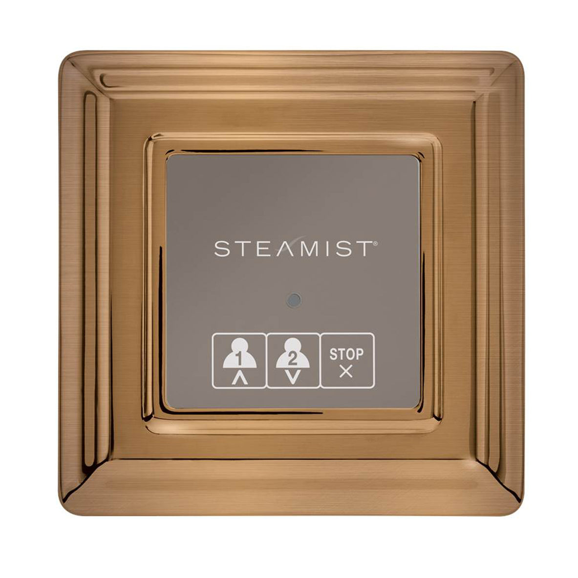 Steamist — Opulent Recreations